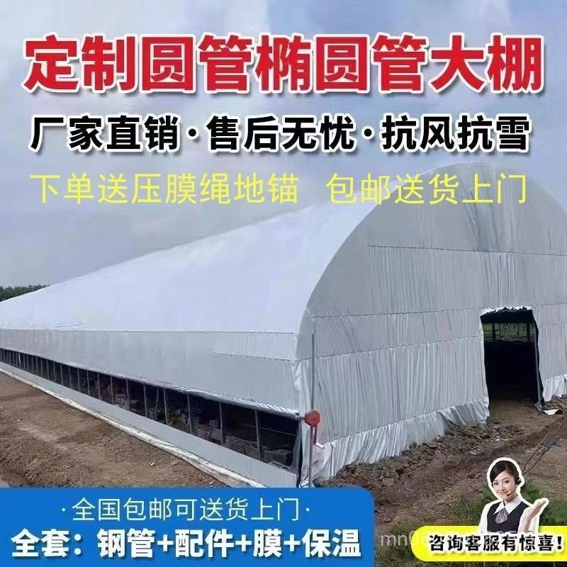 Special Shed Sheep Shed Frame Breeding Shed Chicken Pig Shed Greenhouse ...