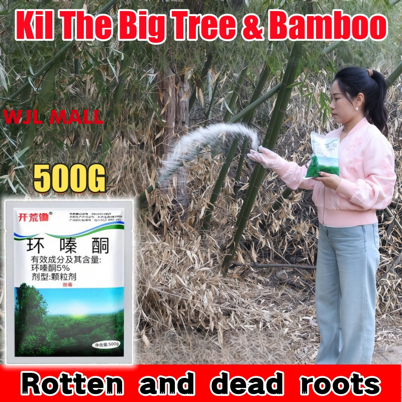 Effects Fast 500G Herbicide to kill tree Hexazinone root removal kill ...