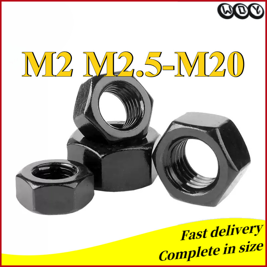 Black SS304 Hex Nut Hex Nut for Bolts and Screws Hex Nut (Turnilyo) for ...
