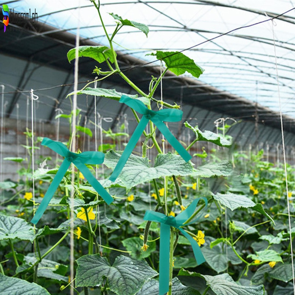 Garden Plant Branch Tie Ribbon Durable PVC Waterproof Binding Ribbon ...