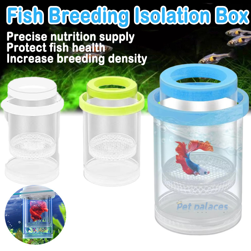 Aquarium Peacock Fish Breeding Box Aquarium Hatcher Small Fish Birth ...