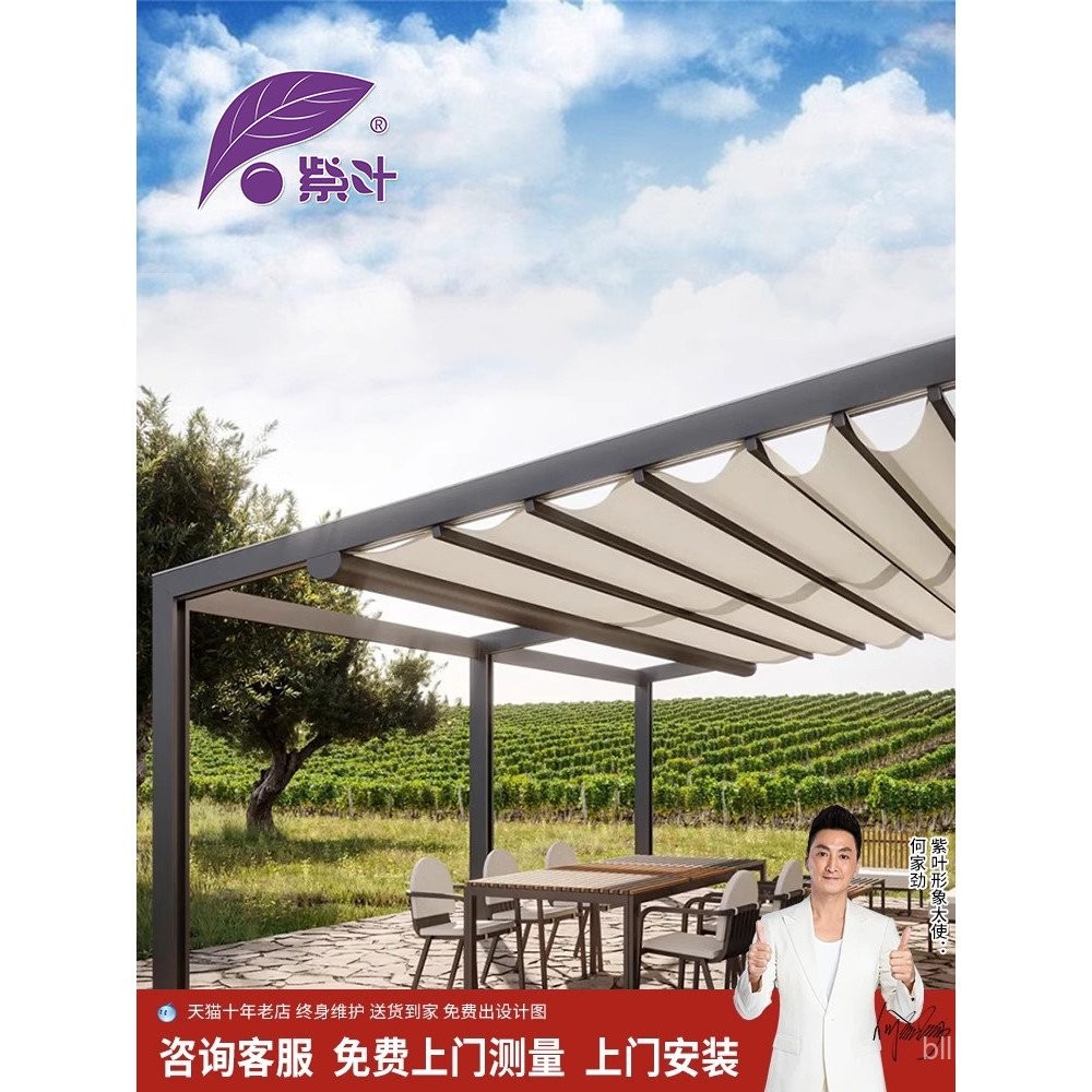 Ziye Automatic Folding Canopy Outdoor Retractable Awning Garden ...