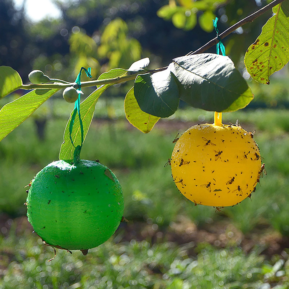 Adhesive Fly Catching Ball Sticky Glue Fly Gnat Wasp Mosquito Bugs Trap ...