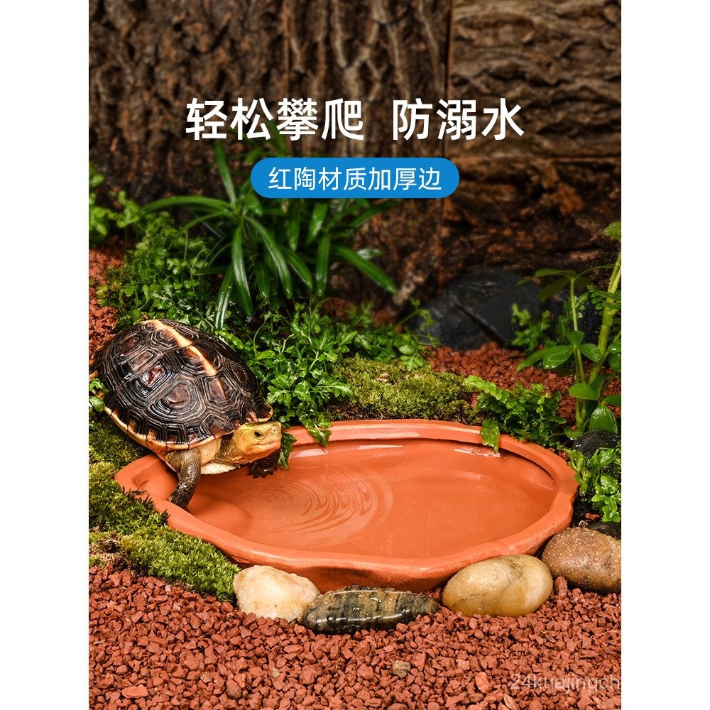 Yellow Edge Turtle Bath Basin Ceramic Water Basin An Yuan Half-Water ...