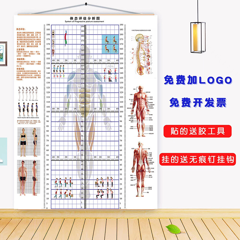 Posture Evaluation Chart Gym Body Measuring Table Teenager Yoga Private ...
