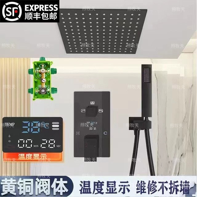 Concealed Shower Wall-Mounted Hidden Embedded Ceiling Showerhead Pre ...