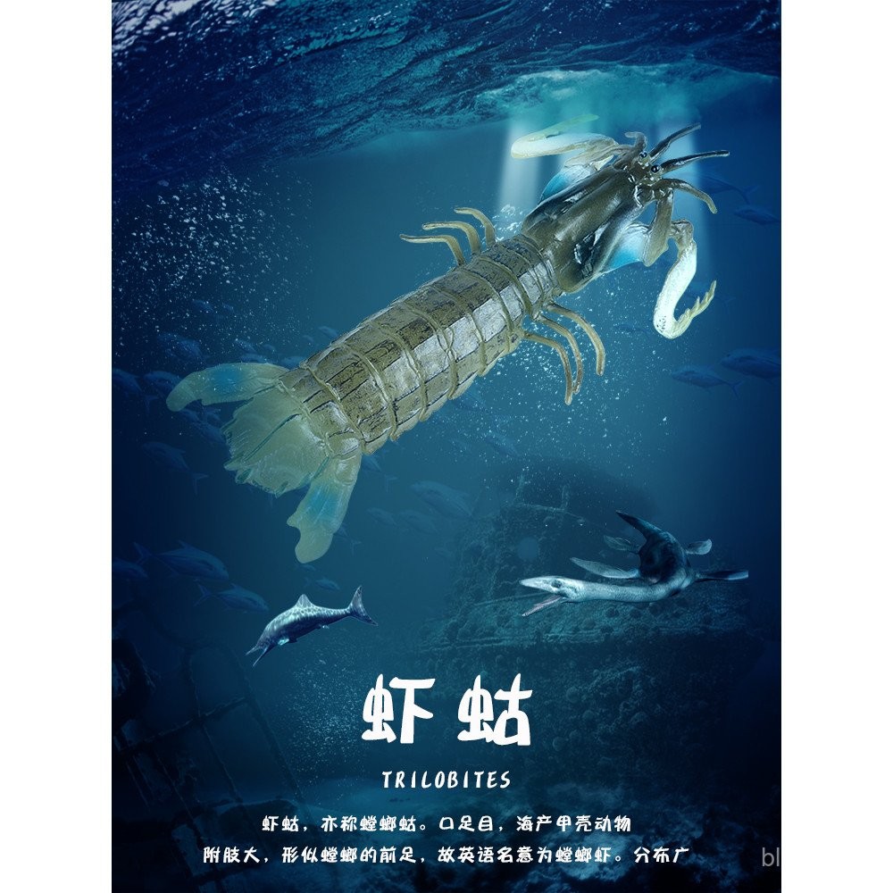 Lin Changmo Play Children's Ocean Animal Toys Shrimp Model Pipi Shrimp ...