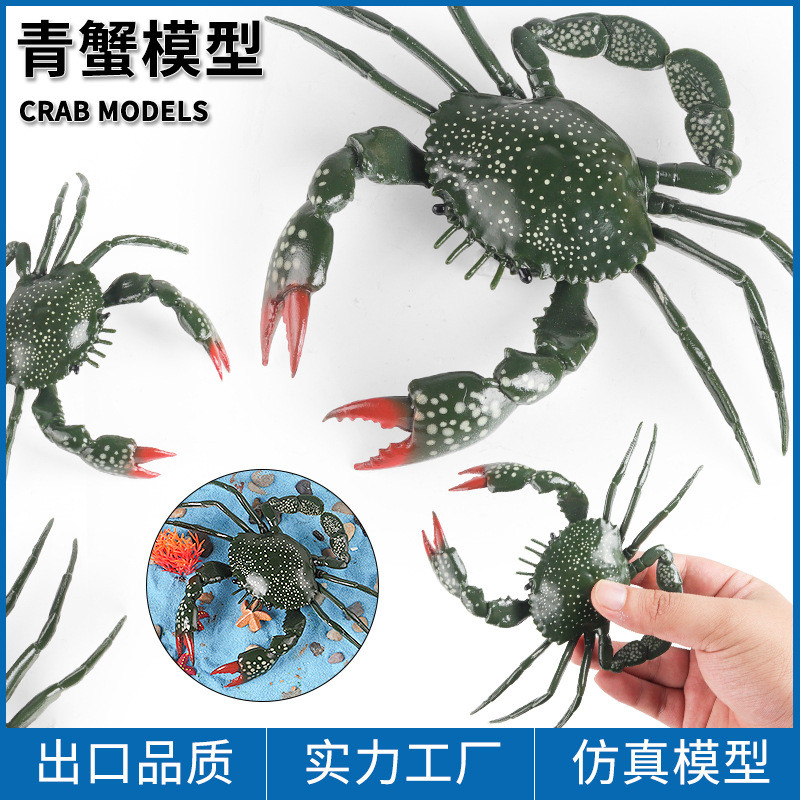 Children's Cognitive Simulation Ocean Animal Model Crab Toy, Swimming ...