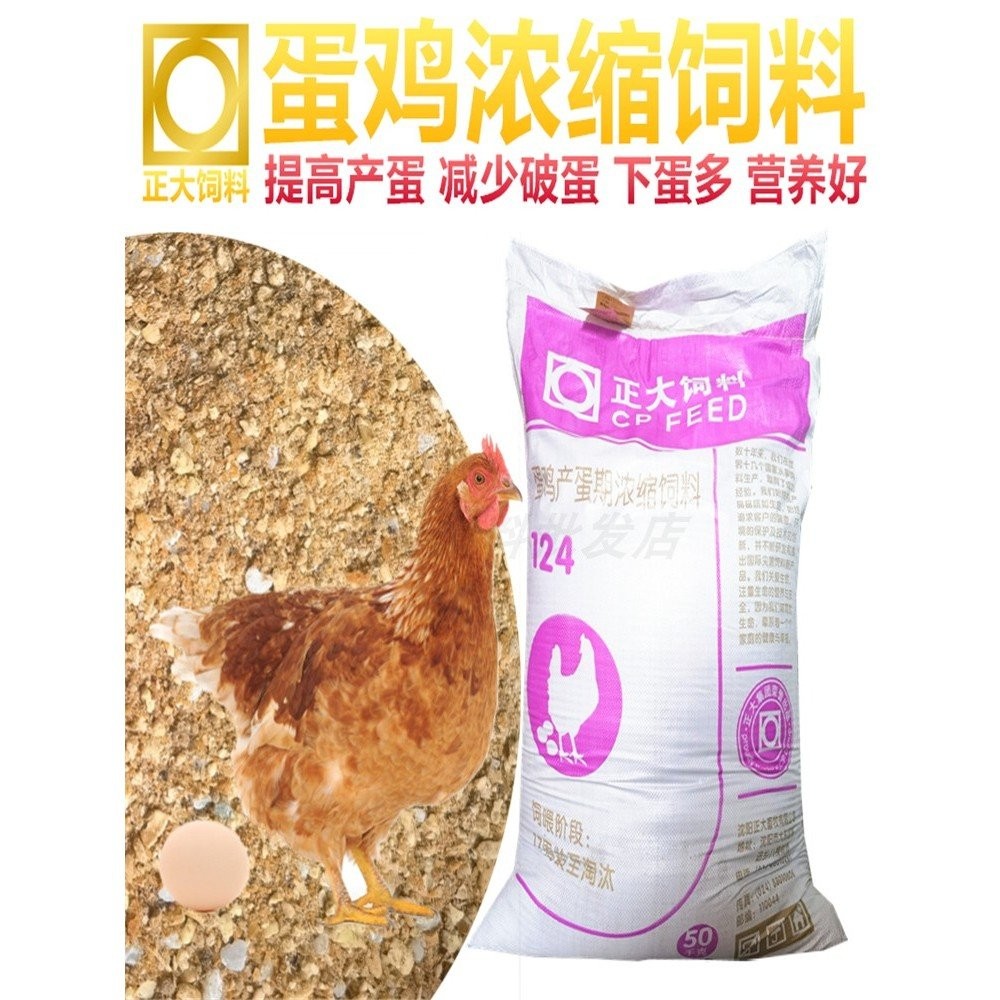 Chia Tai Egg Chicken Feed100Chicken Concentrate Feed for Laying Hens ...