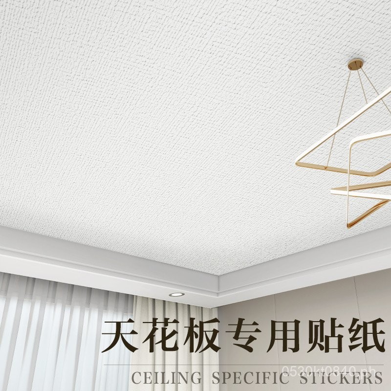 Ceiling Cover-Up Wallpaper Roof Top Ceiling Self-Installation ...