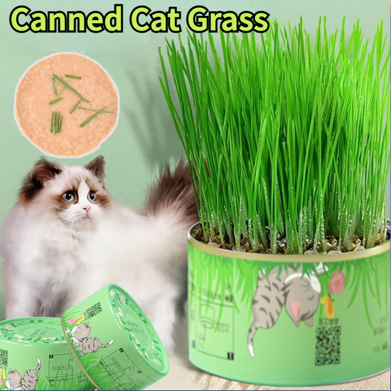Pet/Cat Grass Canned Potted Cat Snacks Digestive Aid Anti-nausea ...