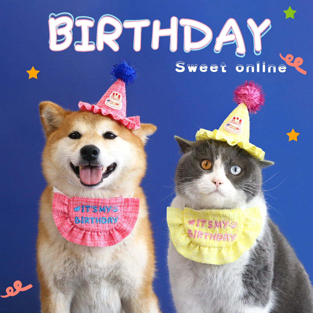 Pet Birthday Set - Dog Cat Party Bib & Hat with Lace Embroidery ...