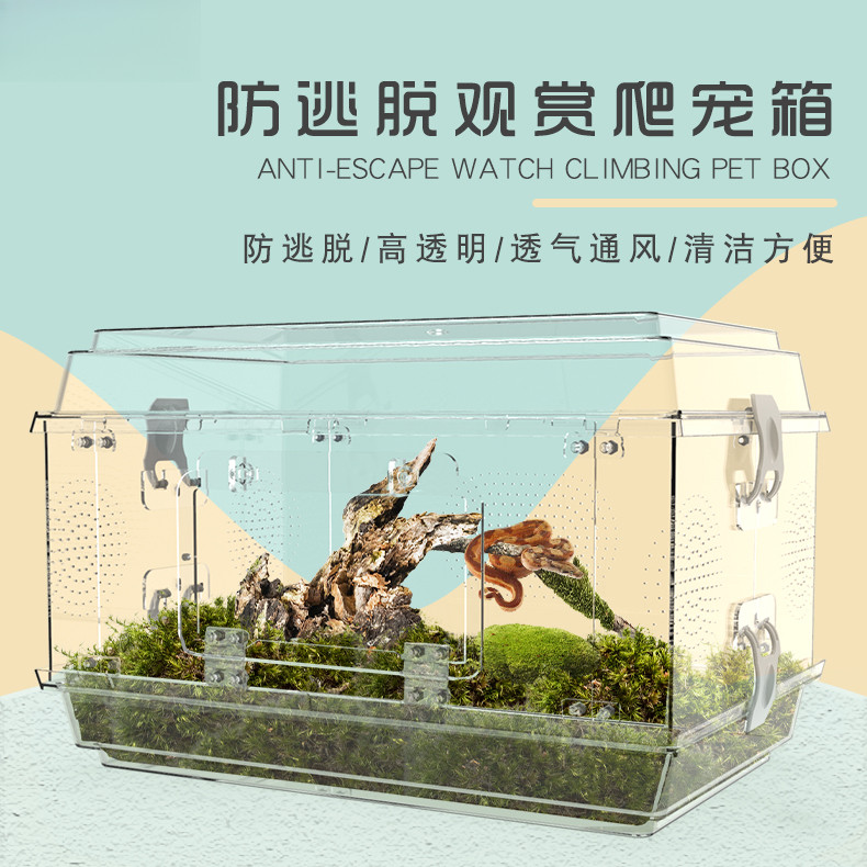 Acrylic Reptile Terrarium Tank | Clear Habitat Enclosure for Turtle ...