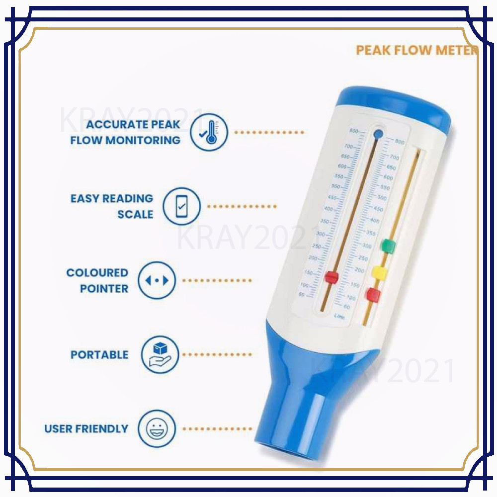 Peak Flow Meter Mini Lung Monitor Breathing Measuring Tool - AM-01 ...
