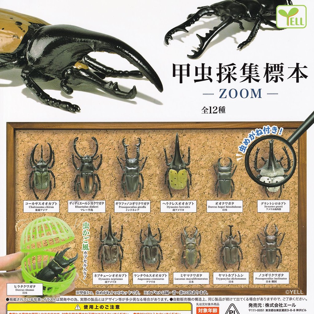 [BTF]Spot Goods YELL Capsule toy Beetle Specimen Collection Insect ...
