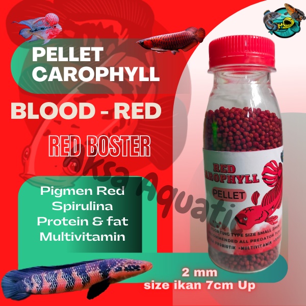 Pellets Red Carophyll premium channa fish food in 100ml bottles ...