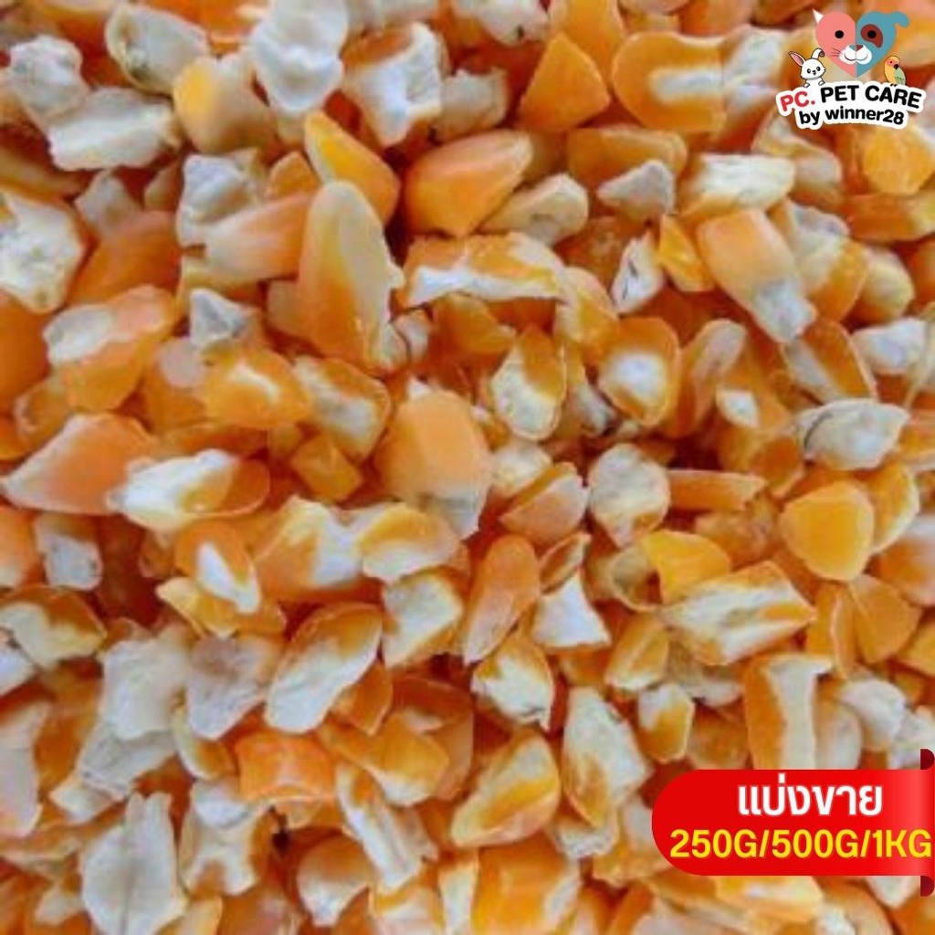 corn Chips flakes Food For Birds Rabbits Mice Squirrels Sugar And ...