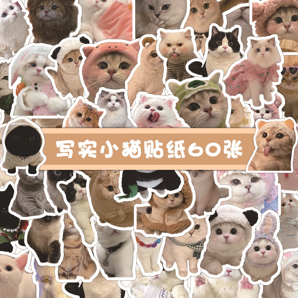 60pcs Cute Cat Dog Photo Sticker Waterproof PVC Stickers for Cup ...