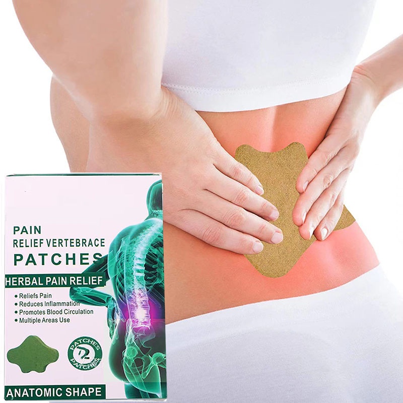 10Pcs/Box Pain Relief Lumbar Vertebra Patches Herbal Extract Reduce ...