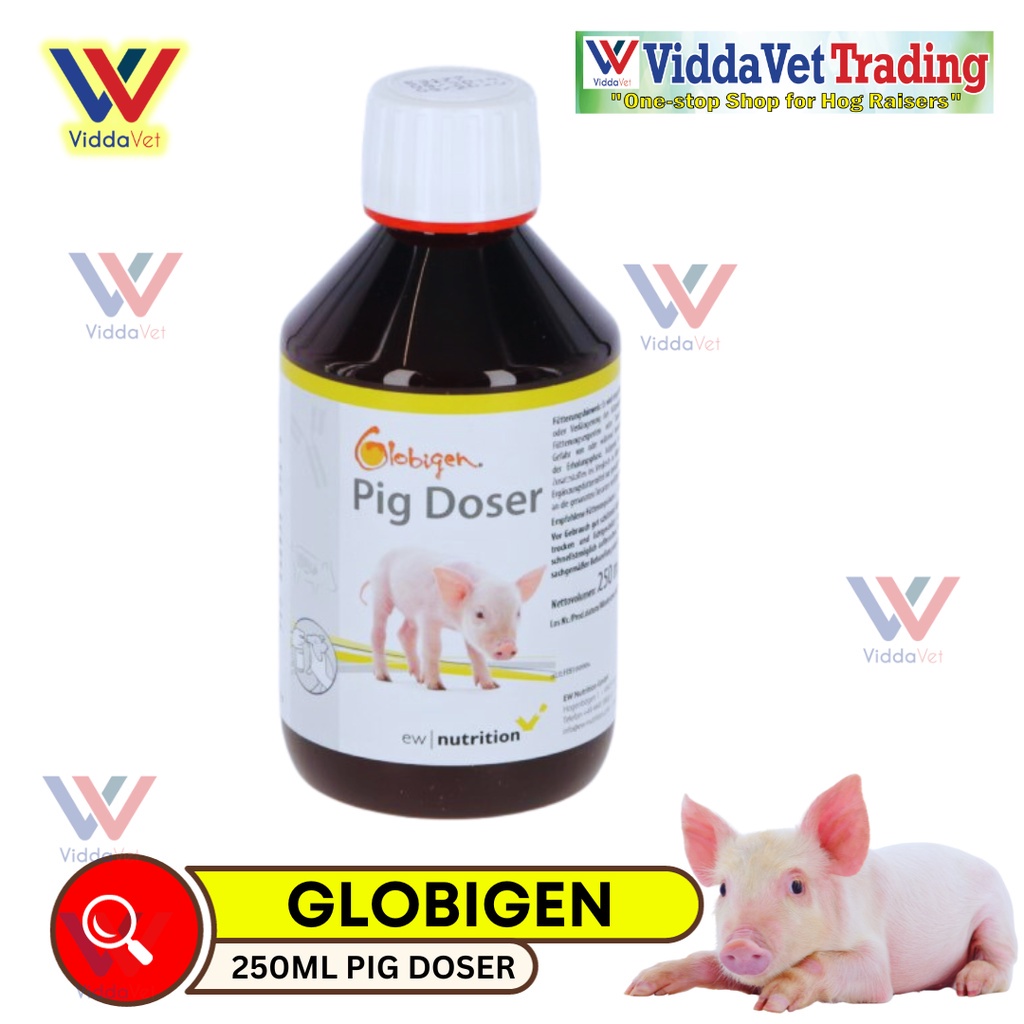 Globigen Pig Doser immune booster for pigs livestock piglets support ...