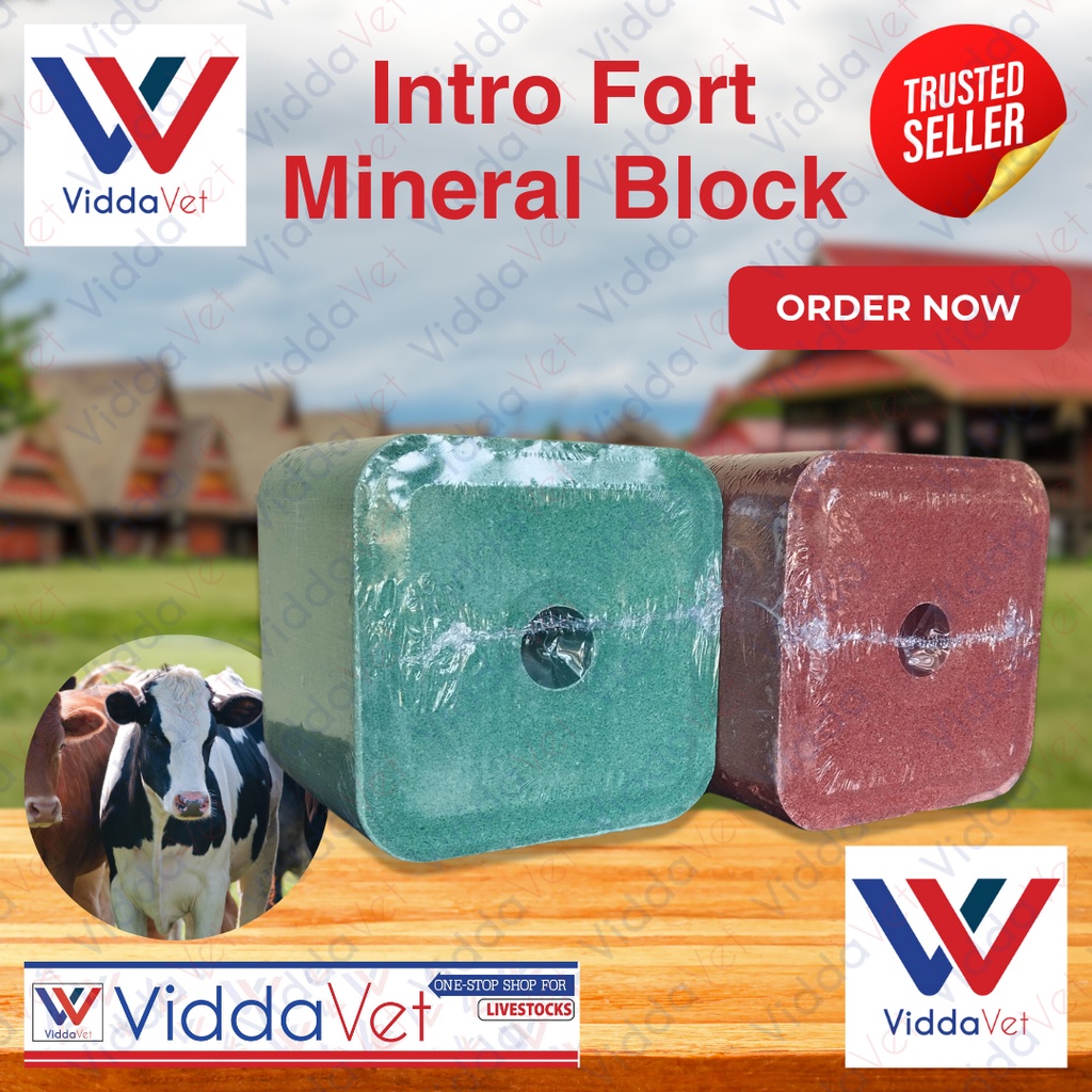 Intro Fort Block Mineral Block 5kgs Holland for Cattle Sheep Goat ...