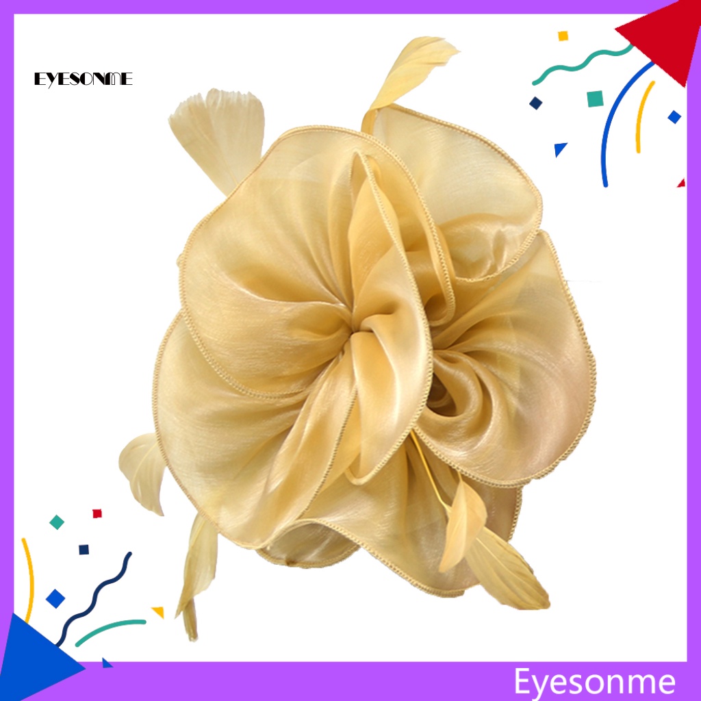 EYES Fascinator Hat Glossy Net Yarn Feather Decor Costume Accessories ...