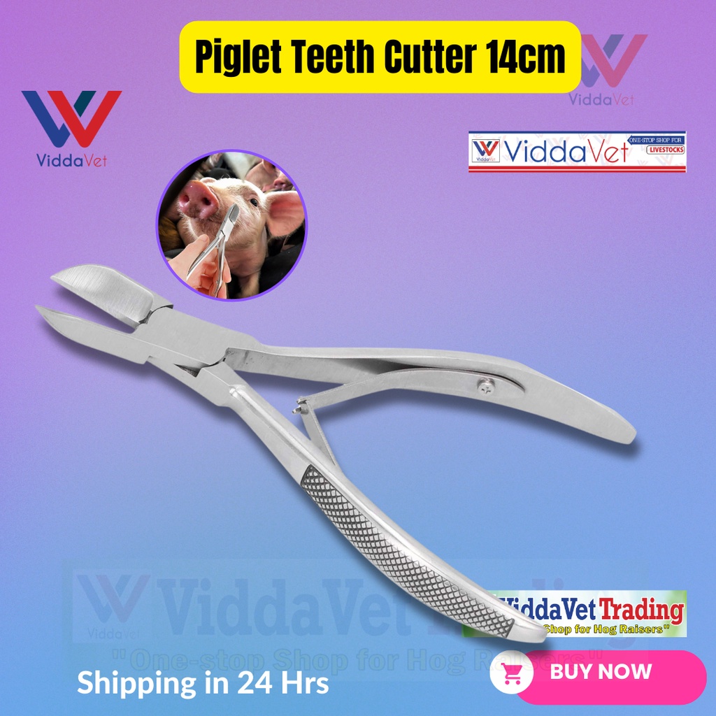 Viddavet Stainless Piglet Teeth Cutter Stainless Steel Piglet ...