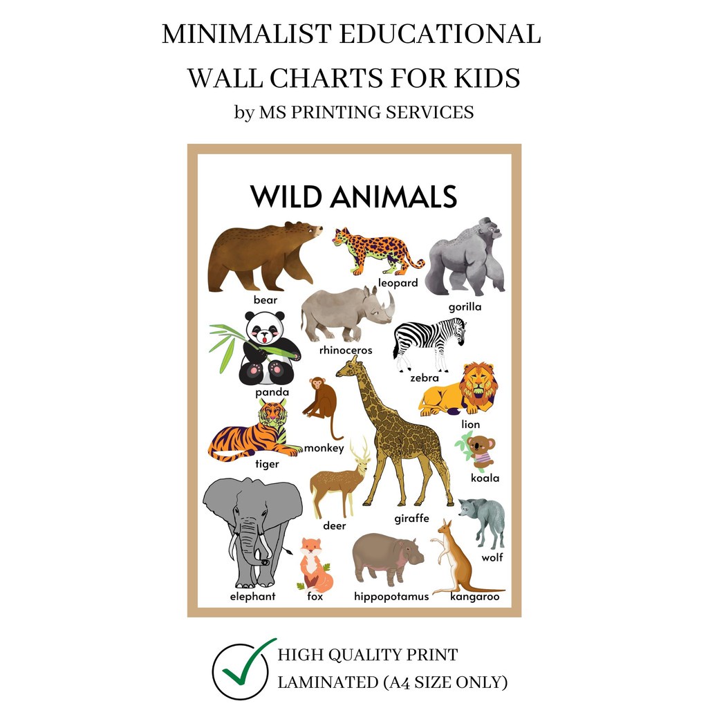 【hot sale】 Laminated Minimalist Educational Wall Chart for Kids ...
