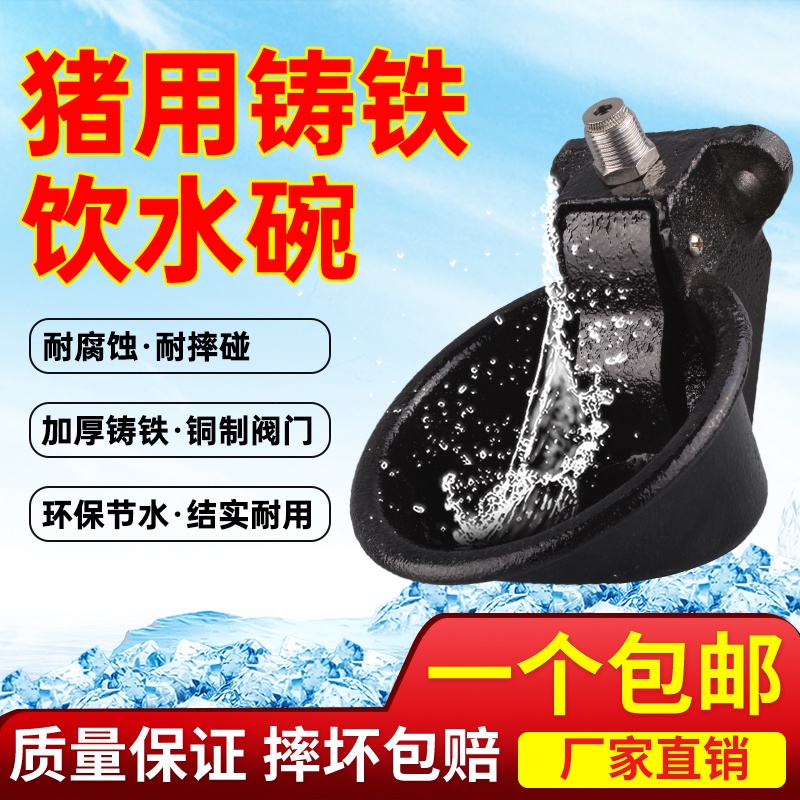 Nile Pig Use Cast Iron Drinking Bowl Automatic Drinking Fountain ...