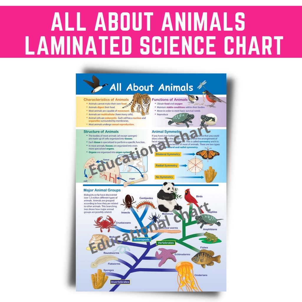 ALL ABOUT ANIMALS POSTERS CHARTS I ALL ABOUT SCIENCE CHARTS, A4 Size ...