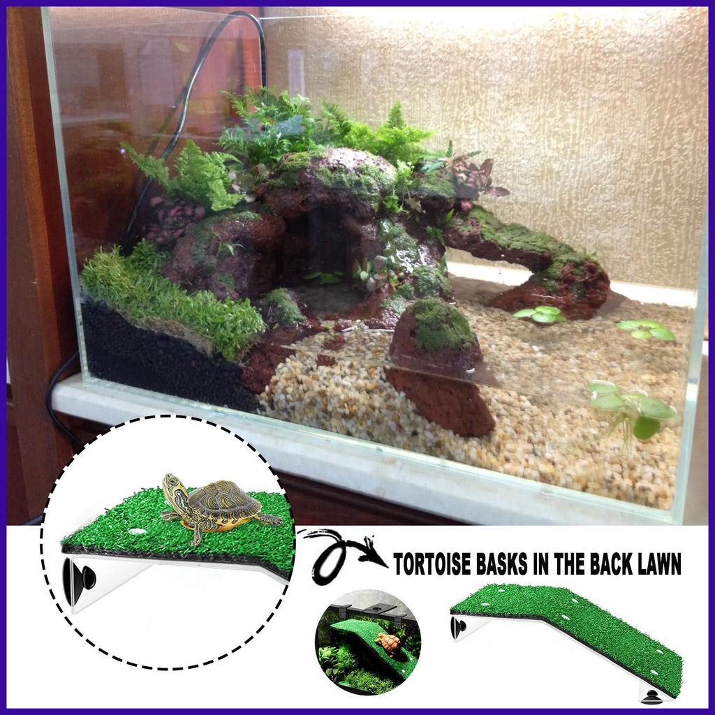 Turtle Basking Platform Simulation Grass Ramp Tortoise Resting Terrace