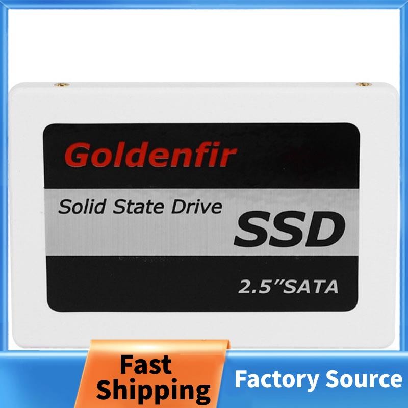Goldenfir SATAII SSD 32GB SATAIII SSD Solid State Hard Disk 2.5 for Laptop | Shopee Philippines