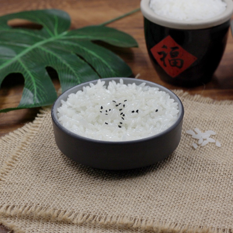 Artificial Steamed Rice with Bowl Model Simulated Fake Cooked Rice ...