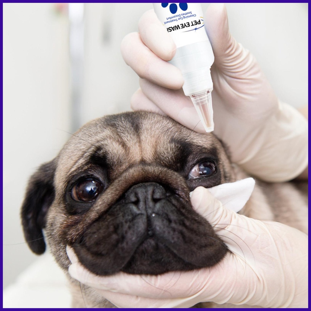 Dog Eye Wash 60ml Dog Eye Wash Drops for Tear Stain Remover Mild Dog ...