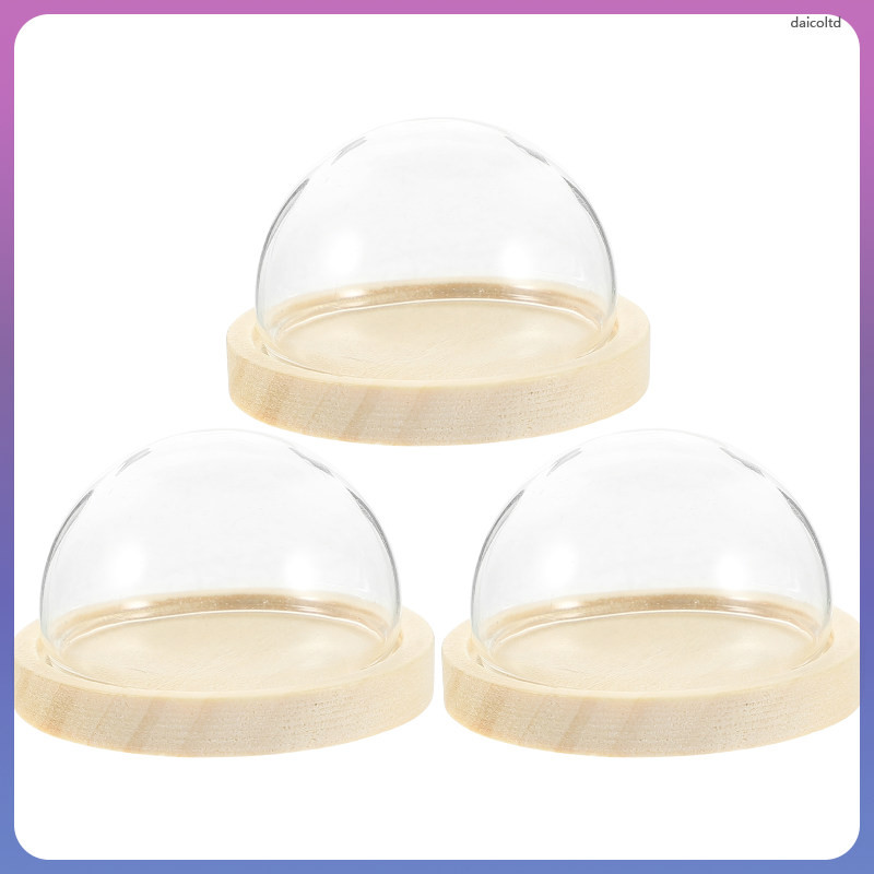 3 Pcs Snow Globe Display Case Figure Mini Preserved Flower Cover ...