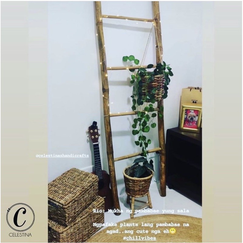 Multi-purpose Decorative Ladder| Rack| Plant Trellis| Native Ladder ...