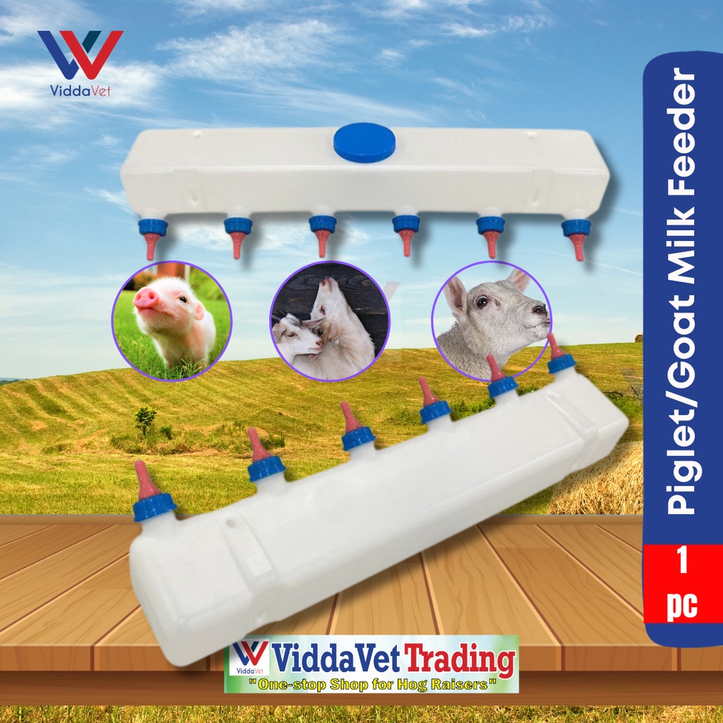 Viddavet Style Piglet Milk Feeder for Healthy Growing Piglet piglet ...