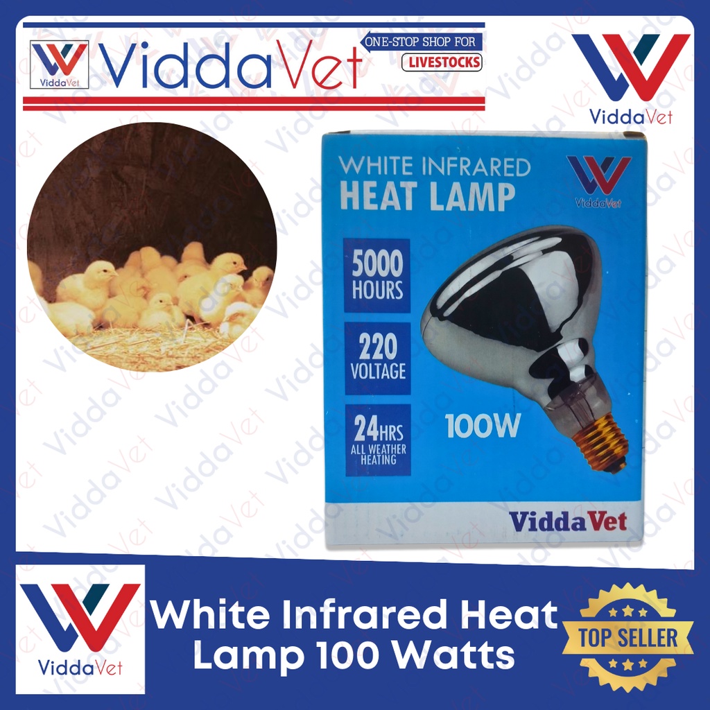Piggery and Poultry BROODER Heat LAMP Bulb Viddavet 100 watts for ...