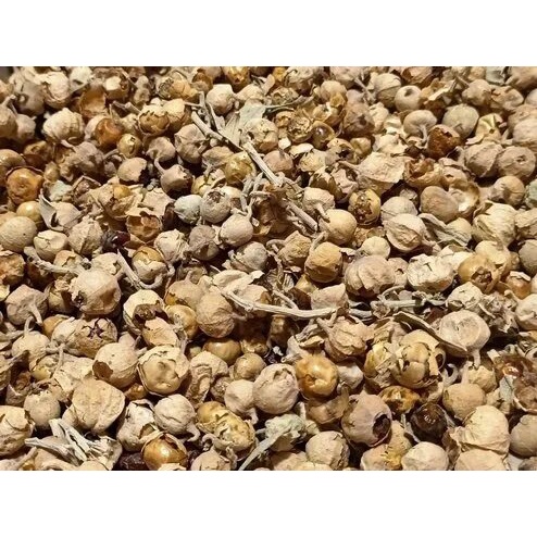 Panneer Poo - Dried Indian Rennet Flower - Pannir 100g | Shopee Philippines
