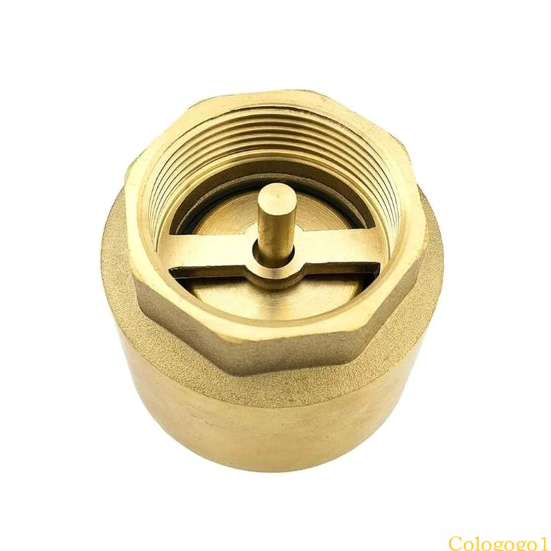 Cologogo1 Check Valves Spring Check Valves Vertical Check Valves ...