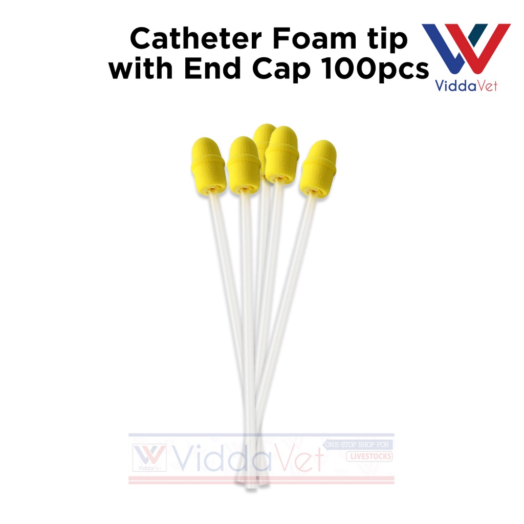 Viddavet Foam tip Catheter with end cap for gilts for pigs 100pcs pig ...