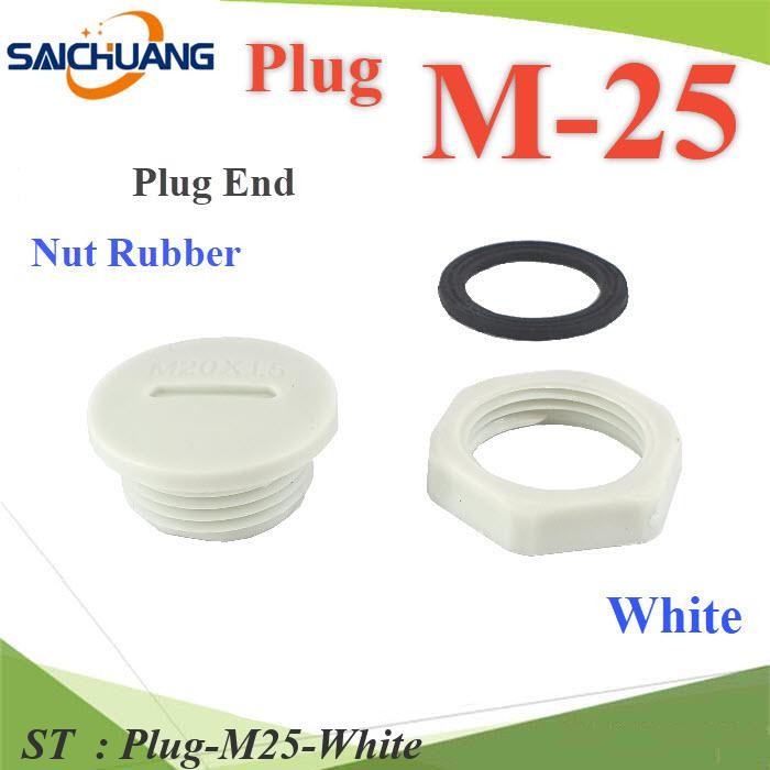 Plastic Plug Gland Screw Hole M25 With Rubber Seal And Lock Ring ...