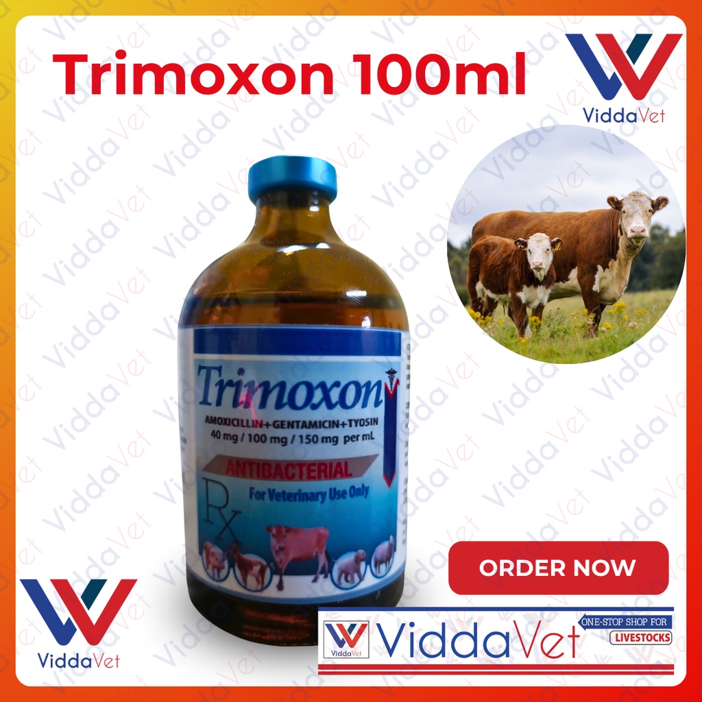 Viddavet Trimoxon 100ml anti piglet diarrhea amoxicillin gentamycin ...