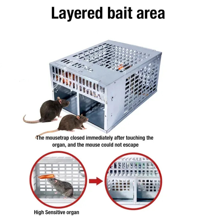 Mouse Catching Artifact Double Door Mouse Catching Cage Efficiently ...