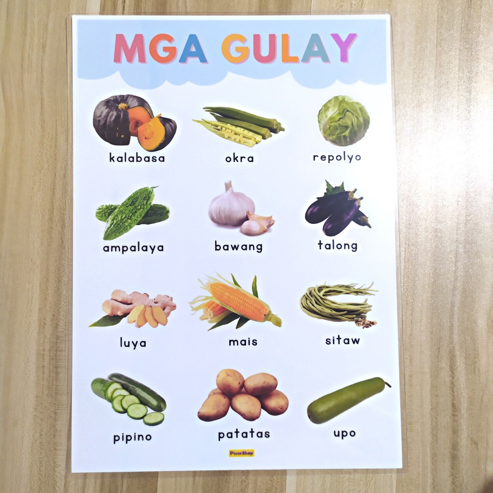 20 PCS. TAGALOG LAMINATED EDUCATIONAL CHARTS POSTER A4 SIZE THICK ...