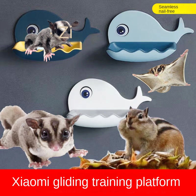 Spot Goods Sugar Glider Take off Jumping Platform Training Gliding Toys ...