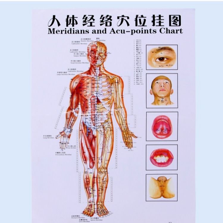 12.22 2 Standard Acupoint Chart Moxibustion Acupuncture Wall Chart Hand Ears Foot Chart Home HD ...