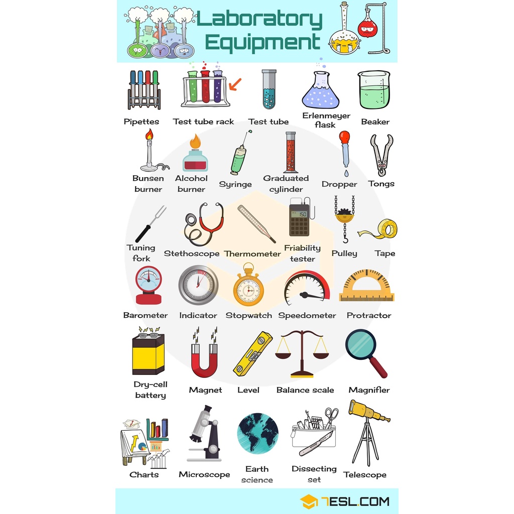 ALL ABOUT SCIENCE Laminated Chart for Kids | LABORATORY EQUIPMENT ...