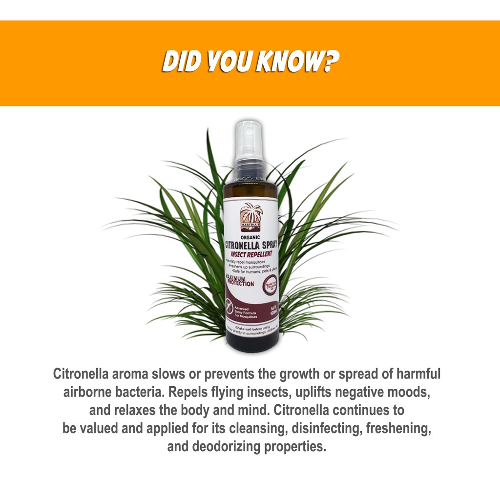 Martina's Citronella Spray Insect Repellent (150ml) With VCO, All ...