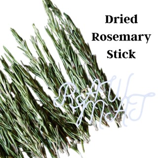dried rosemary - Best Prices and Online Promos - Feb 2024 | Shopee ...
